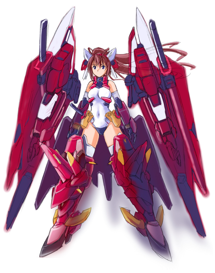 Innocent look [Infinite Stratos] | Scrolller