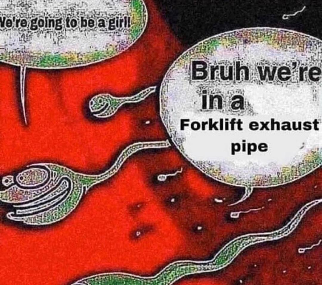 *insert bass boosted sound clip | Scrolller