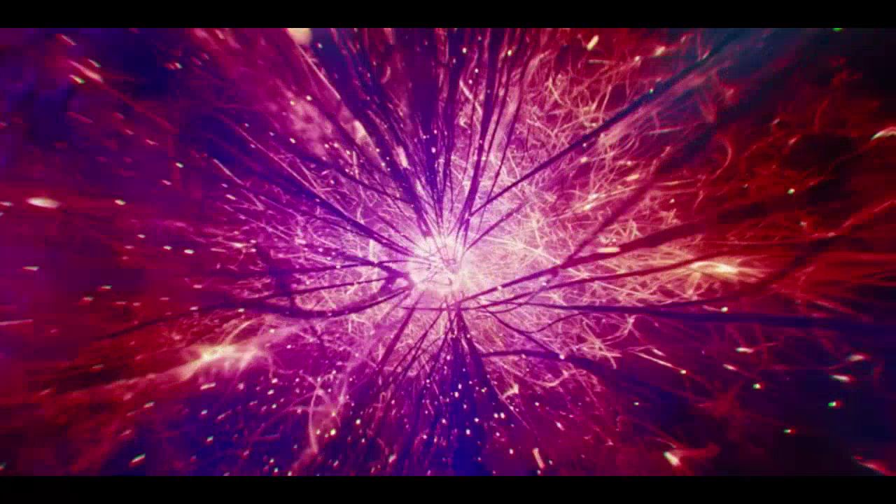 Inside the Mycelial Network - Discovery S1e13 | Scrolller