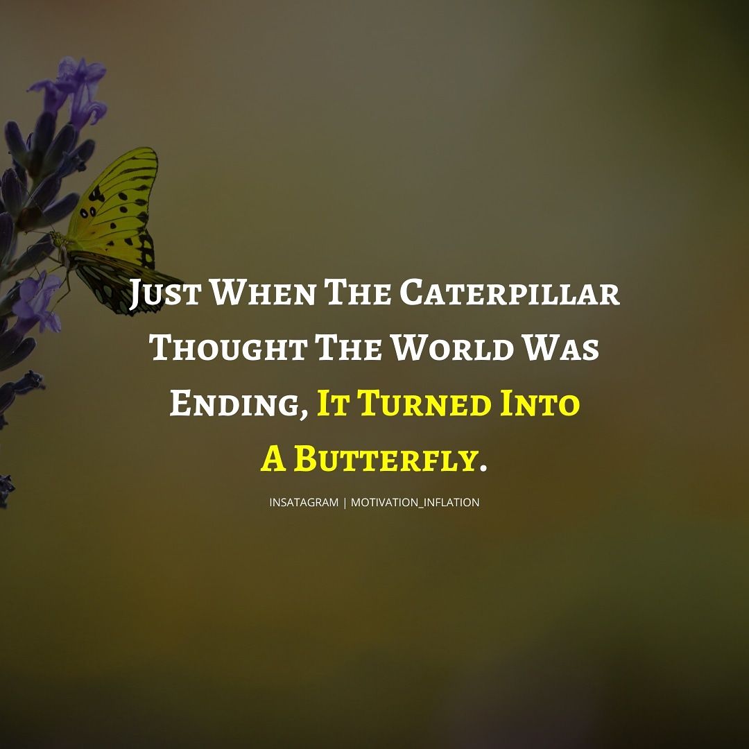 Inspirational Quote | Scrolller