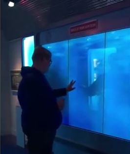 Interactive Screen Board | Scrolller