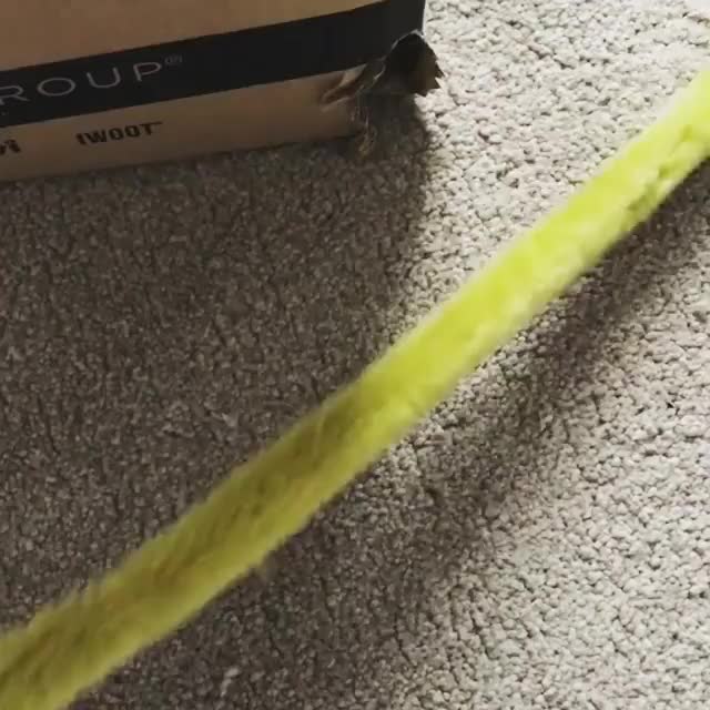 Interdimensional monster slayer | Scrolller