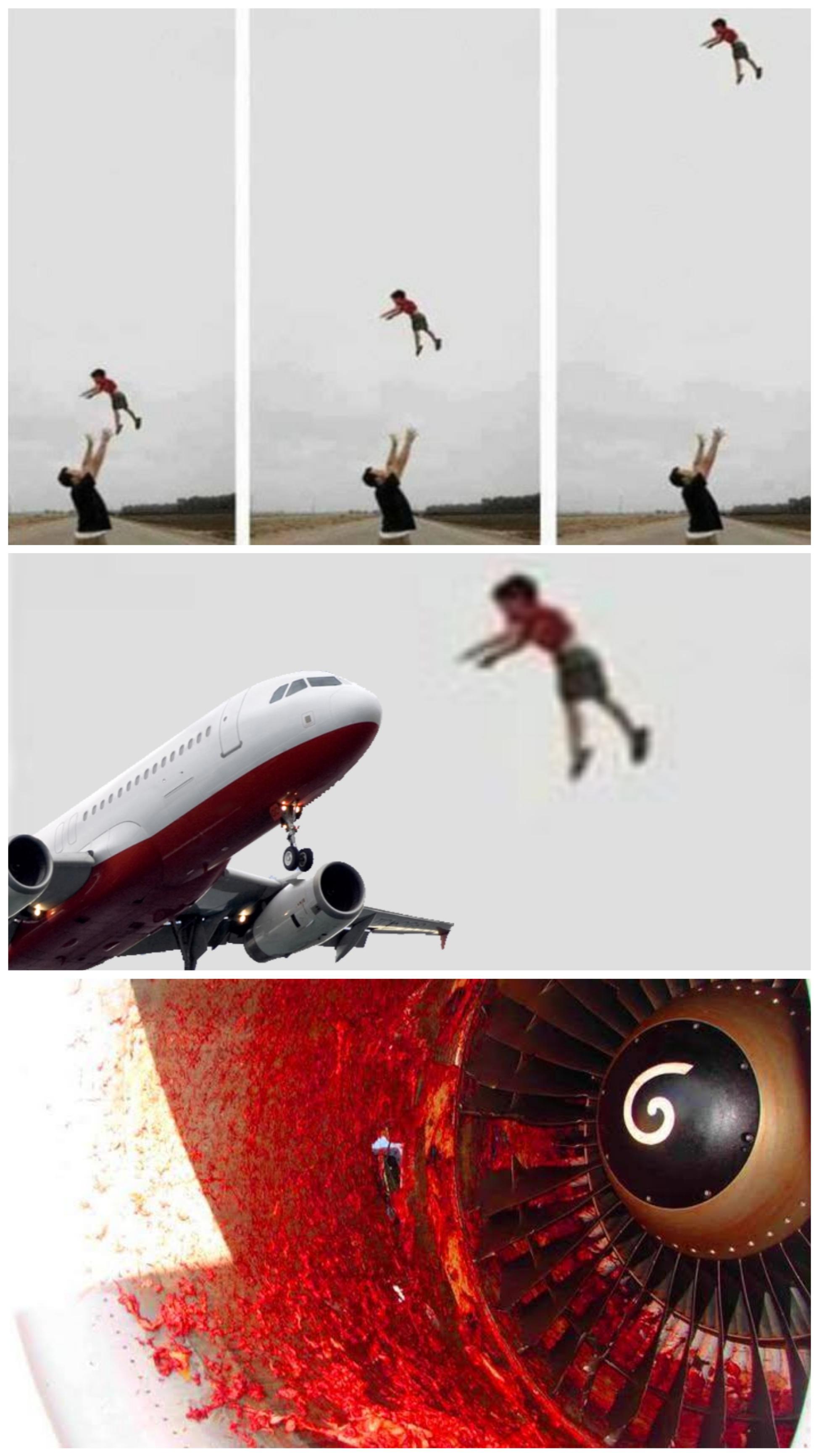 Interesting | Scrolller