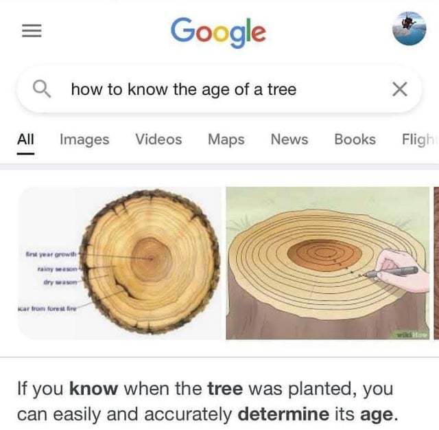 Interesting fact | Scrolller