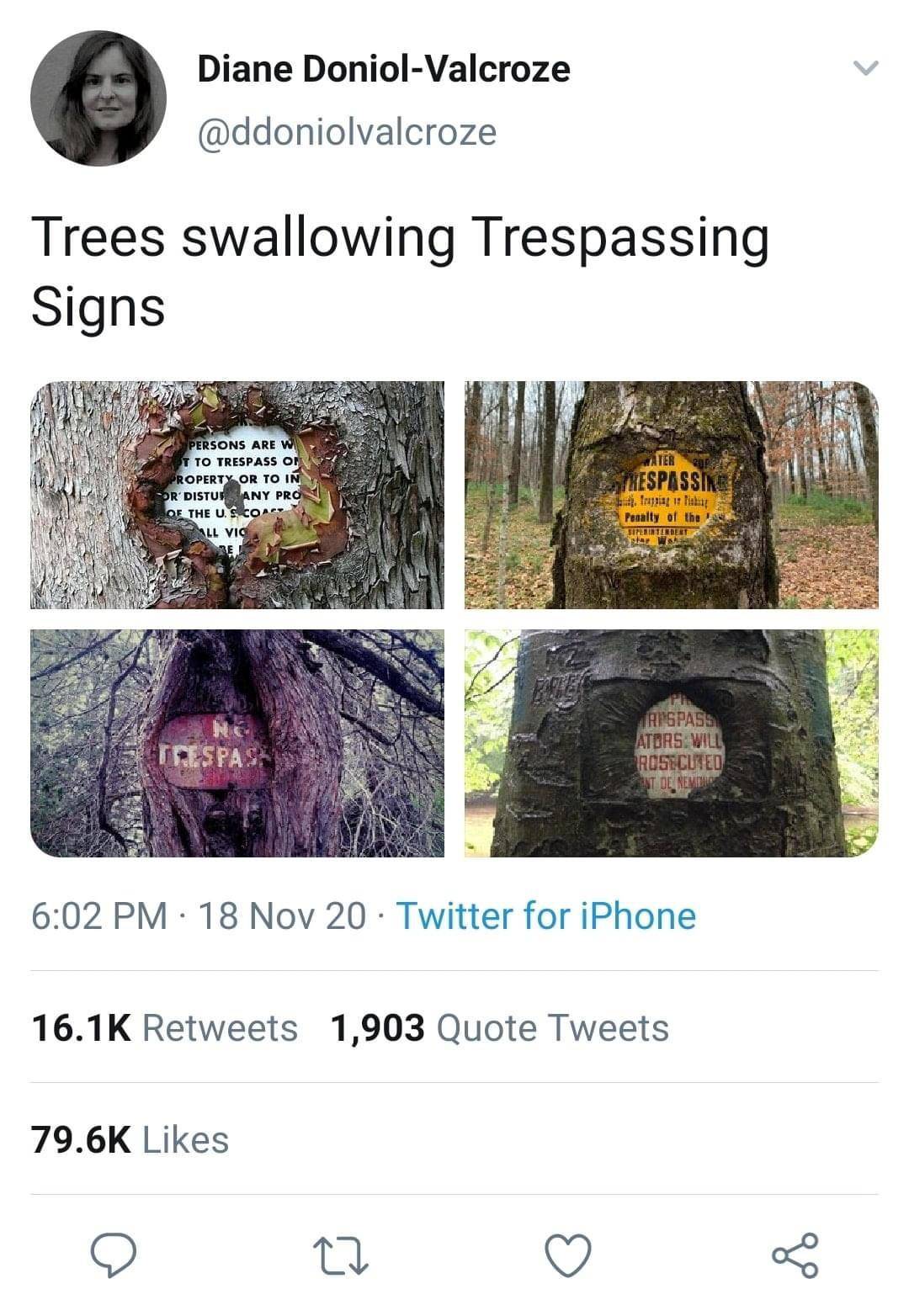 Into the Void | Scrolller