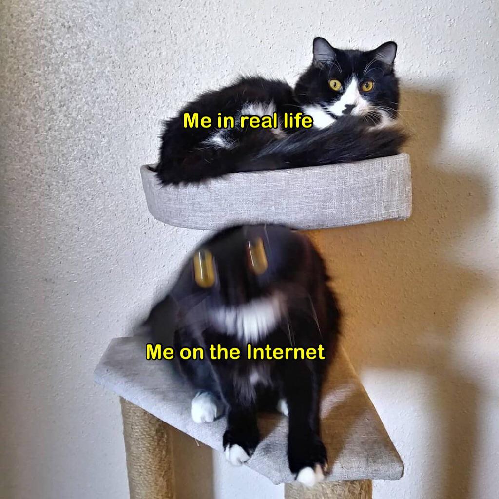 Introvert problems | Scrolller