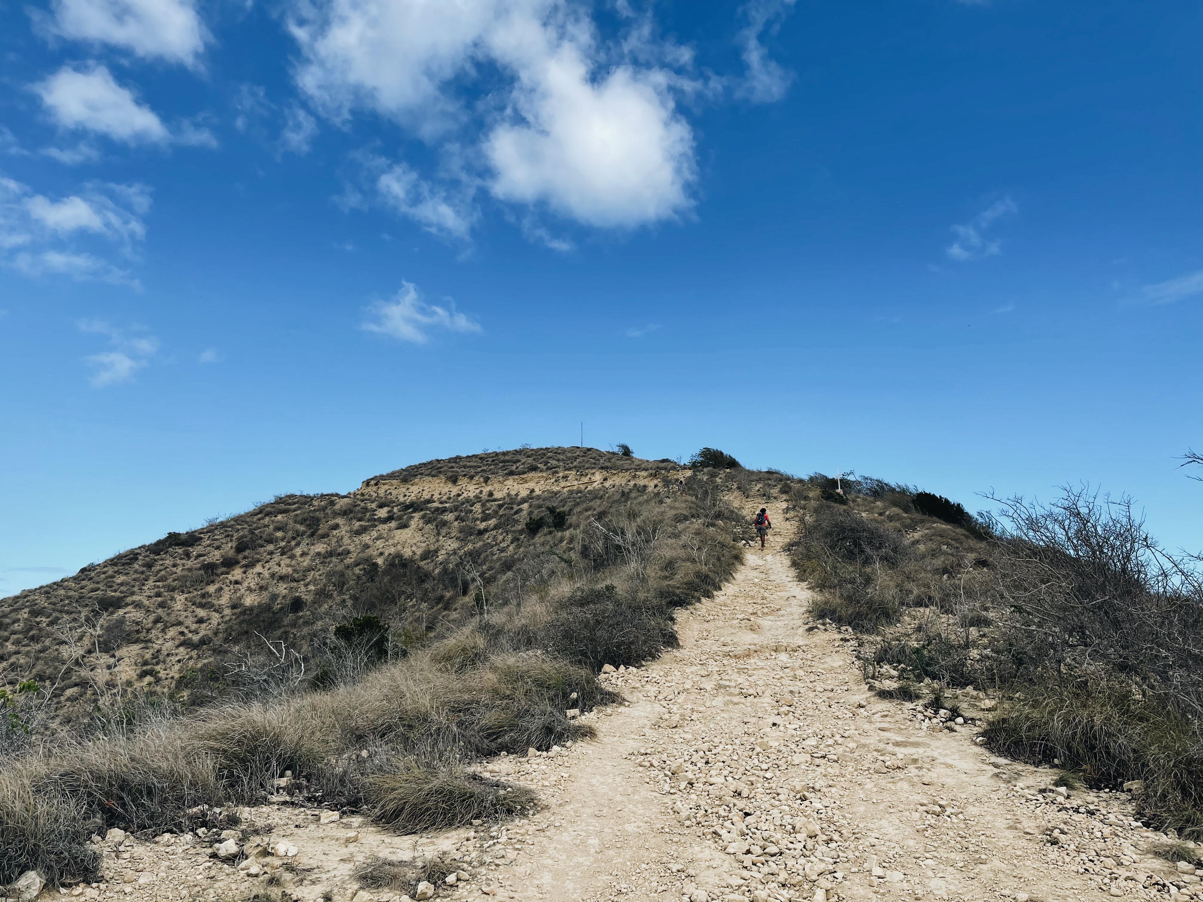 iPhone 12 Pro Max | Scrolller