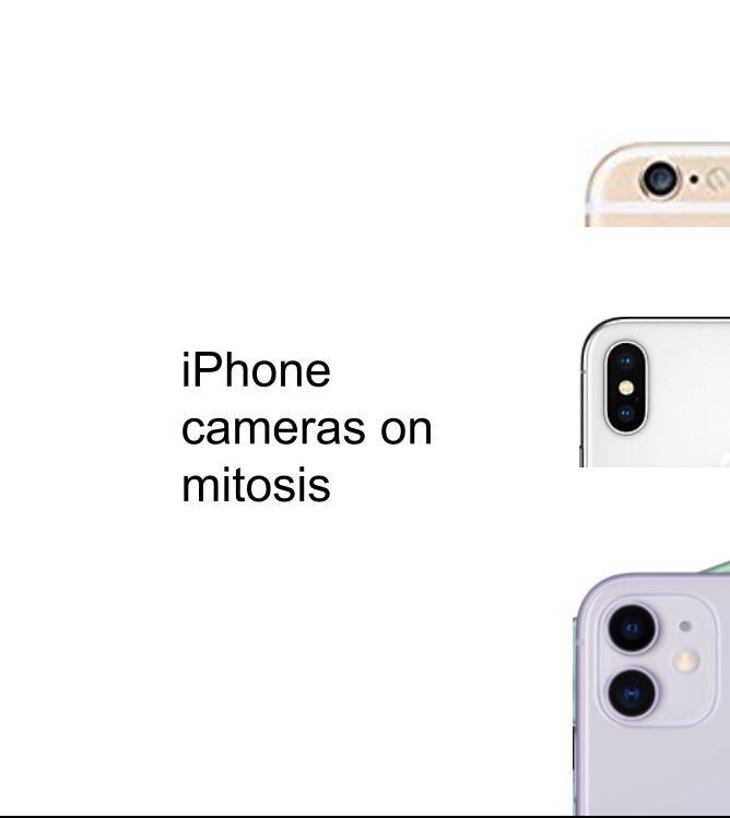 iPhone cameras going through mitosis | Scrolller