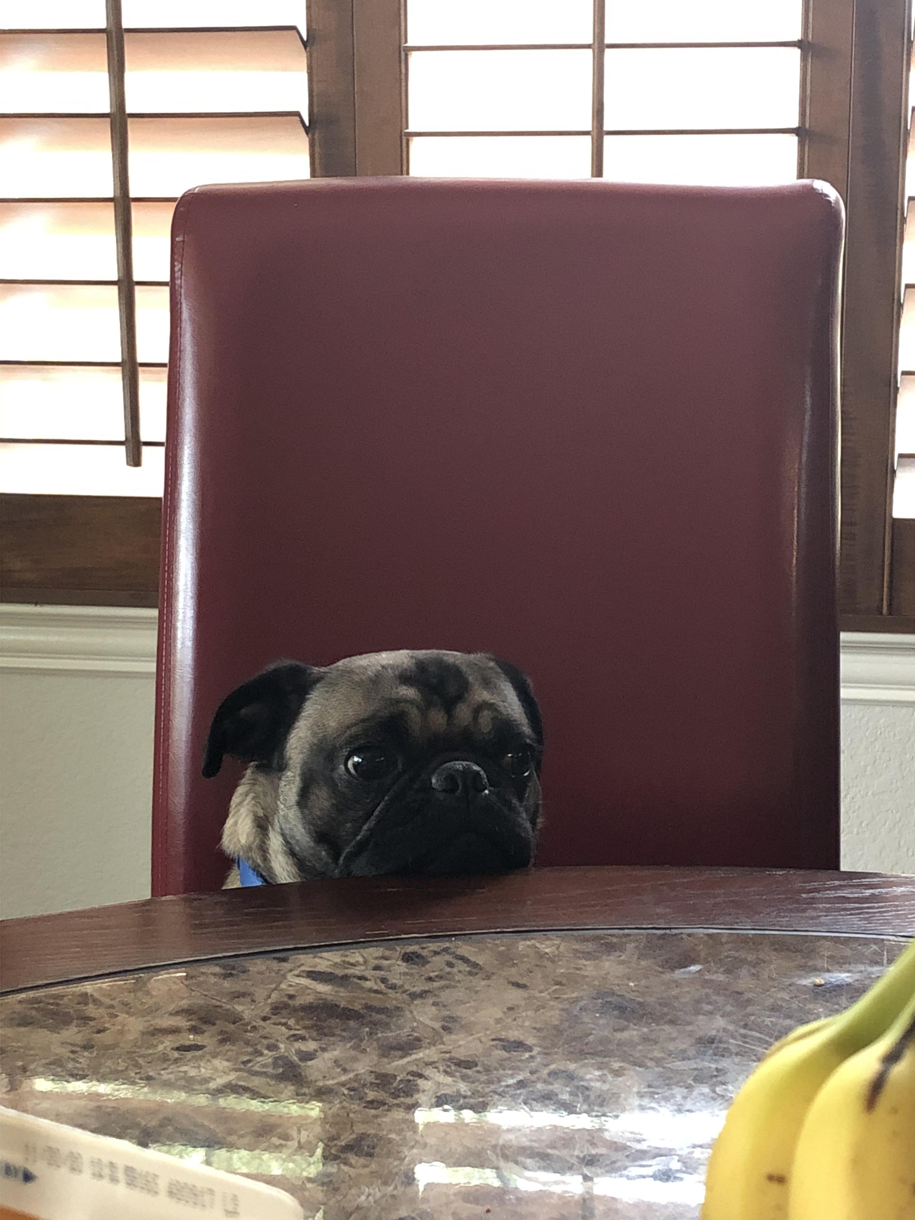 ‘Is food almost ready?’ | Scrolller