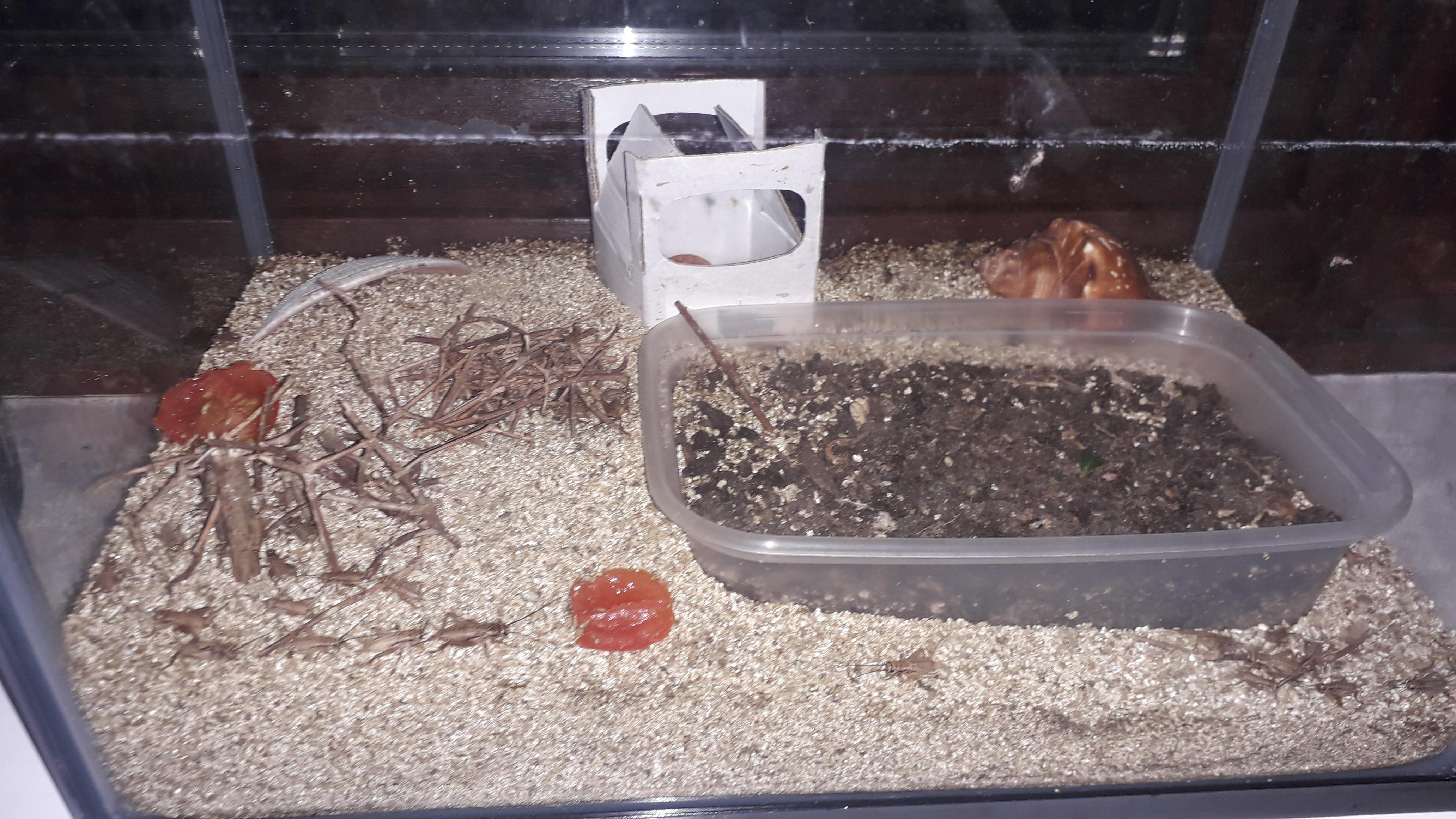 Is this a good enclosure? | Scrolller