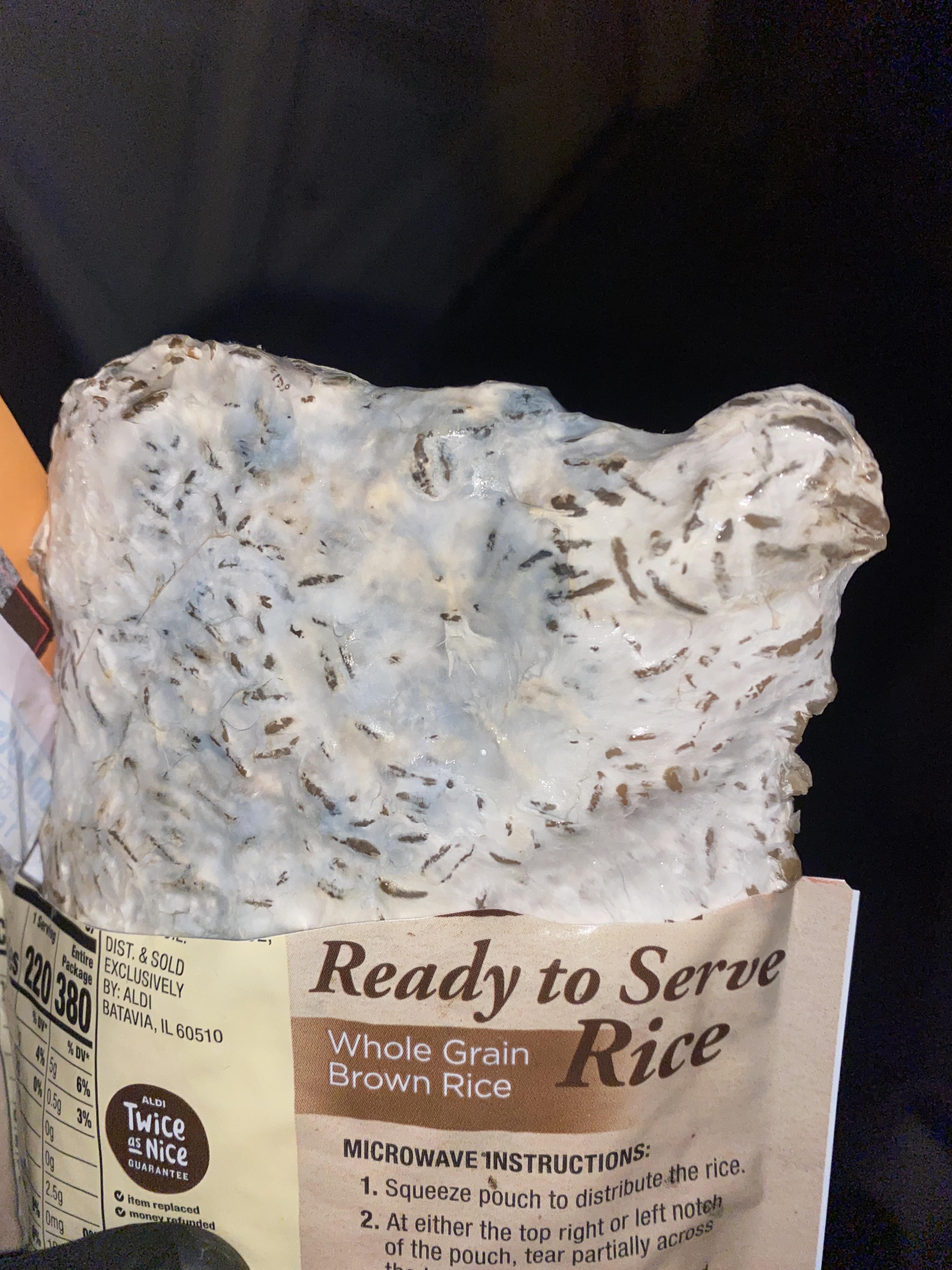 Is this healthy mycelium? | Scrolller