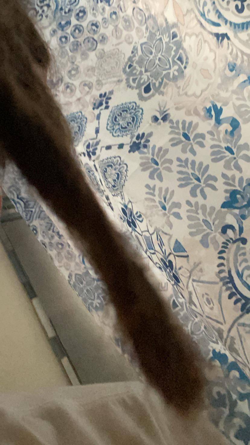 Is this thinning? How could I fix it | Scrolller