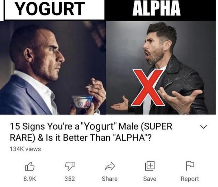 Is Wubby a yogurt male or an alpha male? | Scrolller