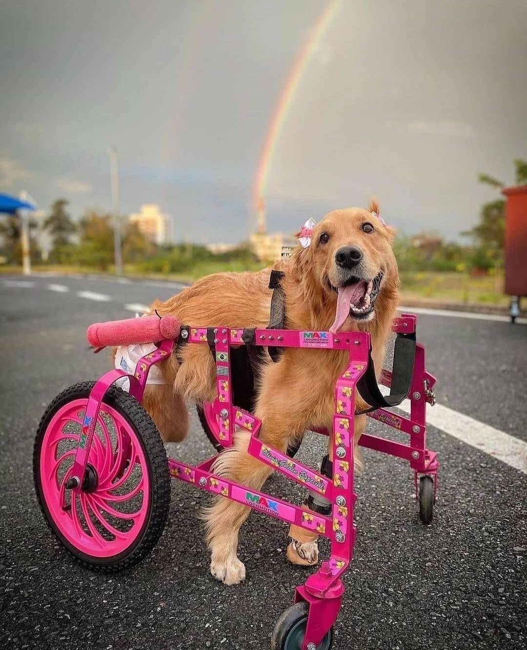 Isnt She Cute 🥰 Scrolller