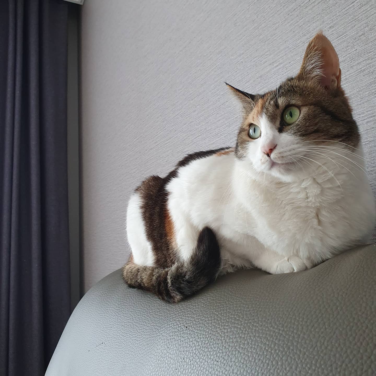 Isnt She Gorgeous 😍 Scrolller