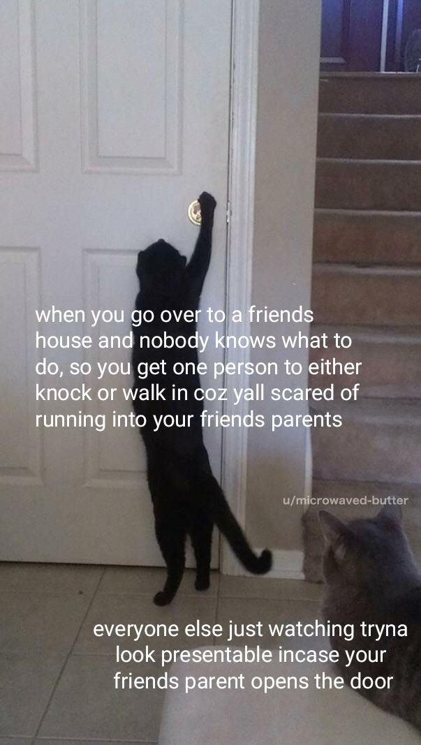 It do be like dat | Scrolller