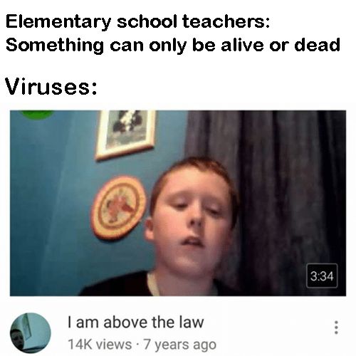 It do be like that | Scrolller