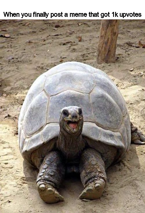 It finally happened | Scrolller