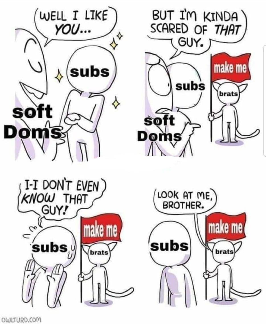 Brat are everywhere | Scrolller