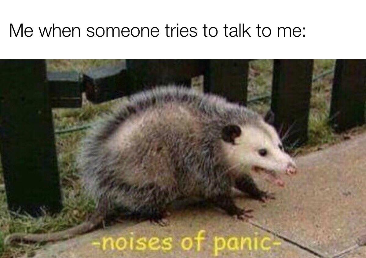 It’s a defence mechanism | Scrolller