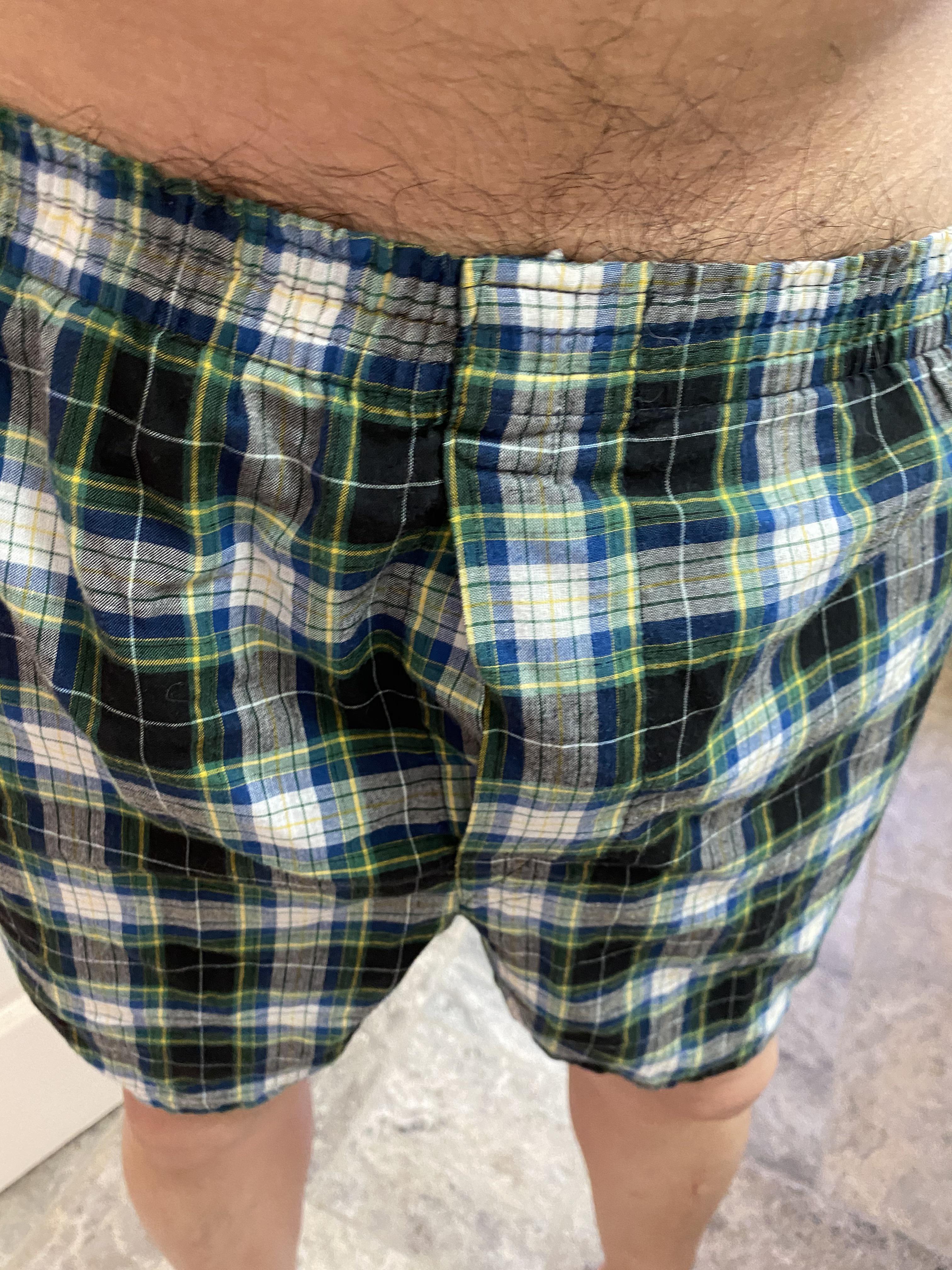 It’s a plaid day | Scrolller