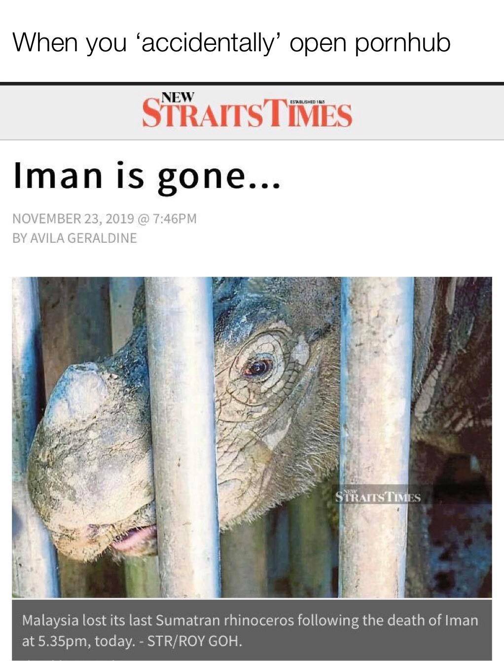 It’s gone | Scrolller