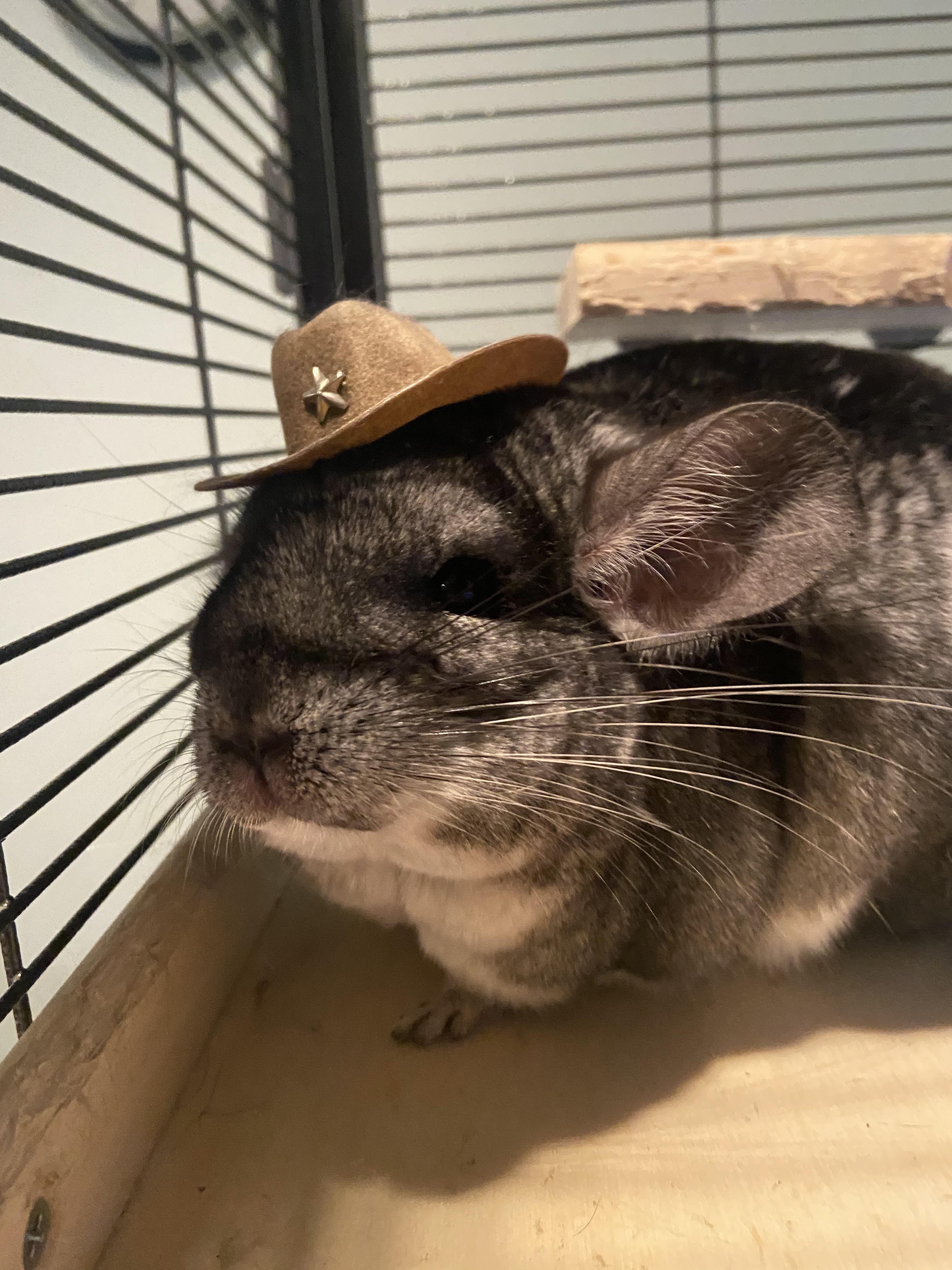 It’s high noon..... | Scrolller