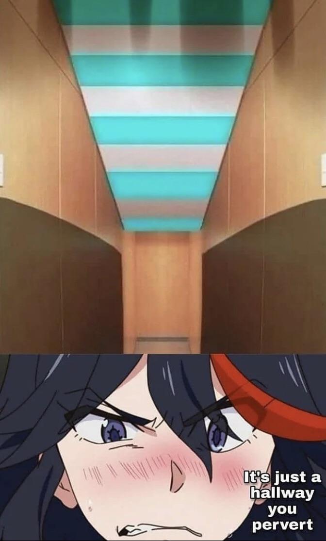 It’s just a hallway you pervert! | Scrolller