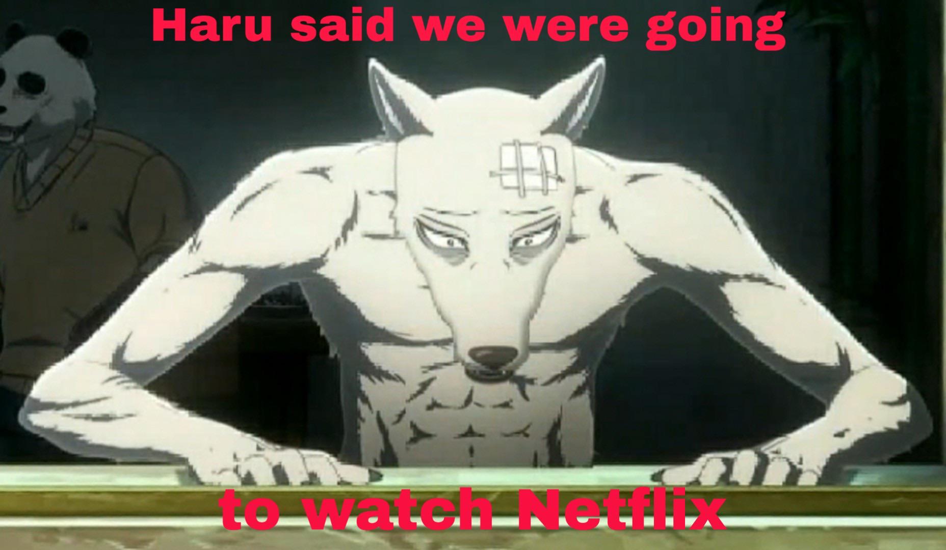 It’s my cake day, so have some meme | Scrolller