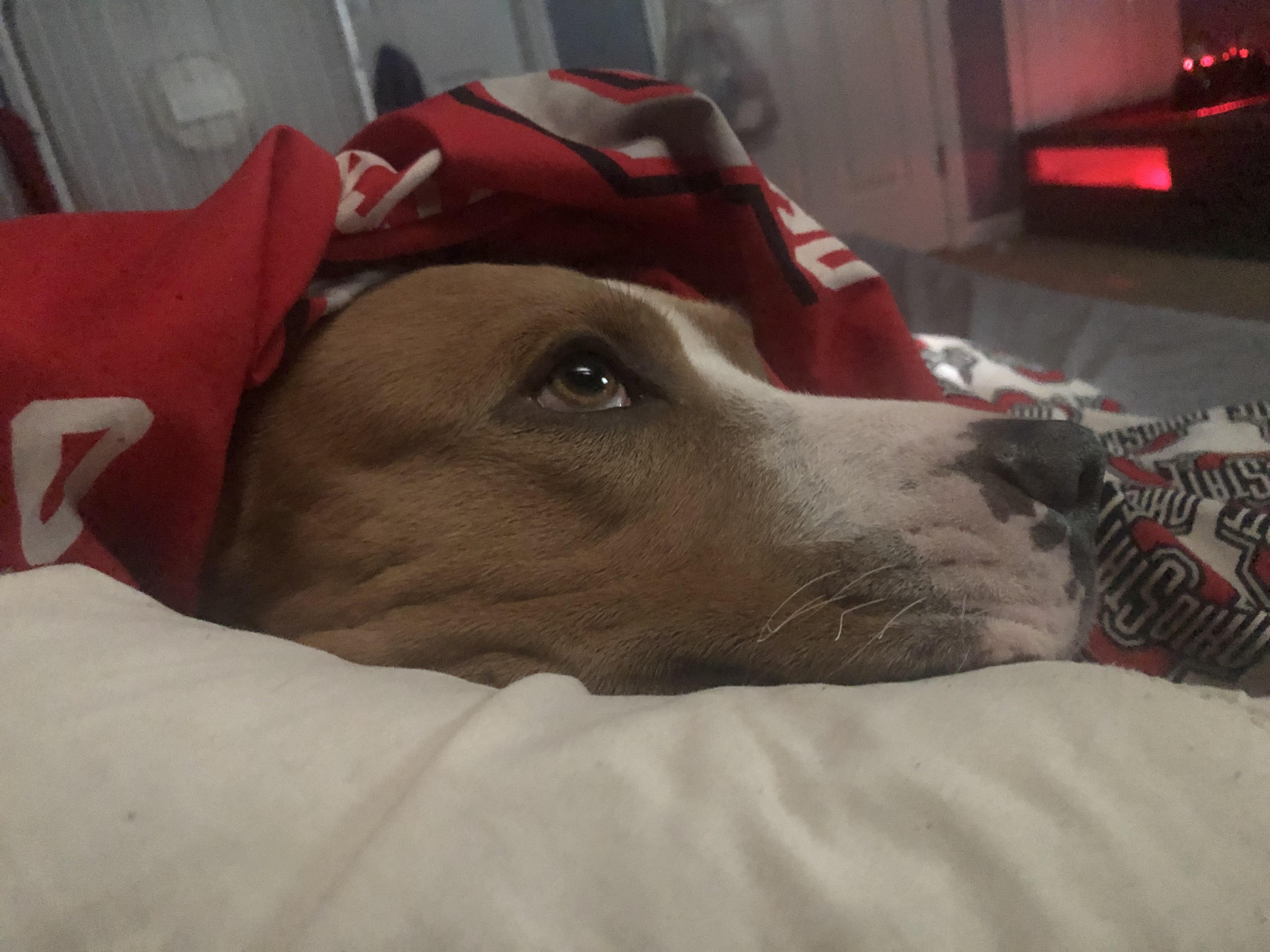 It’s nap time | Scrolller