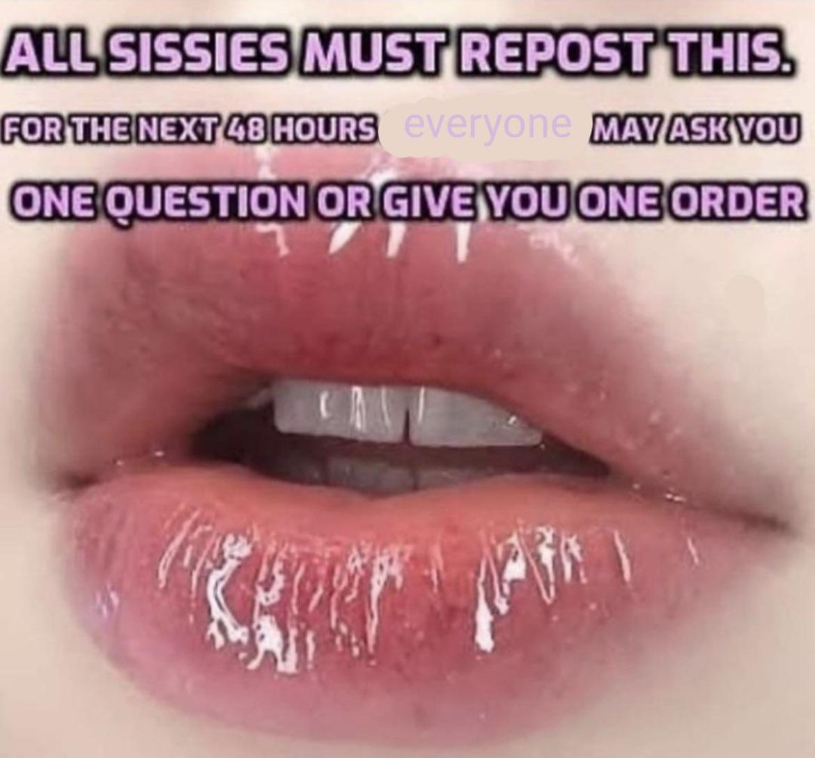 Please give me orders and questions! | Scrolller