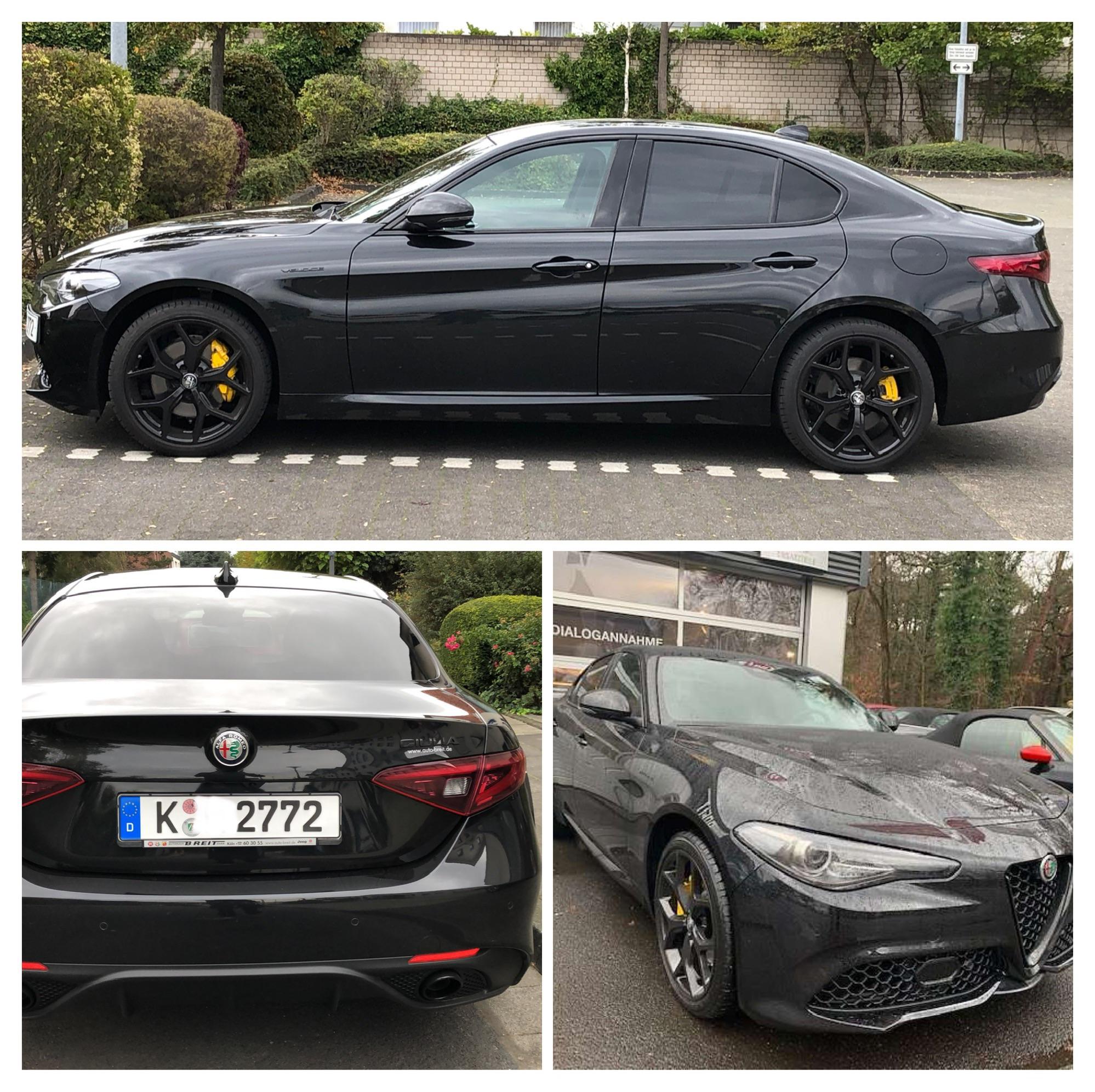 It was love at first sight | Scrolller