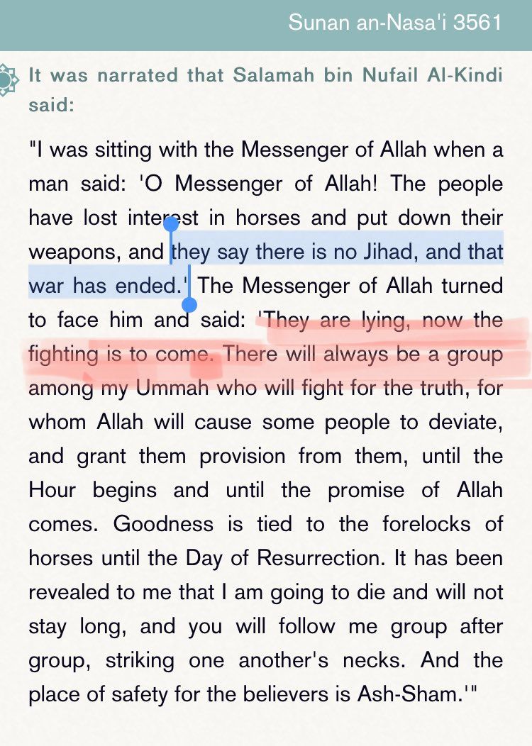 It Will Continue Until Judgement Day | Scrolller