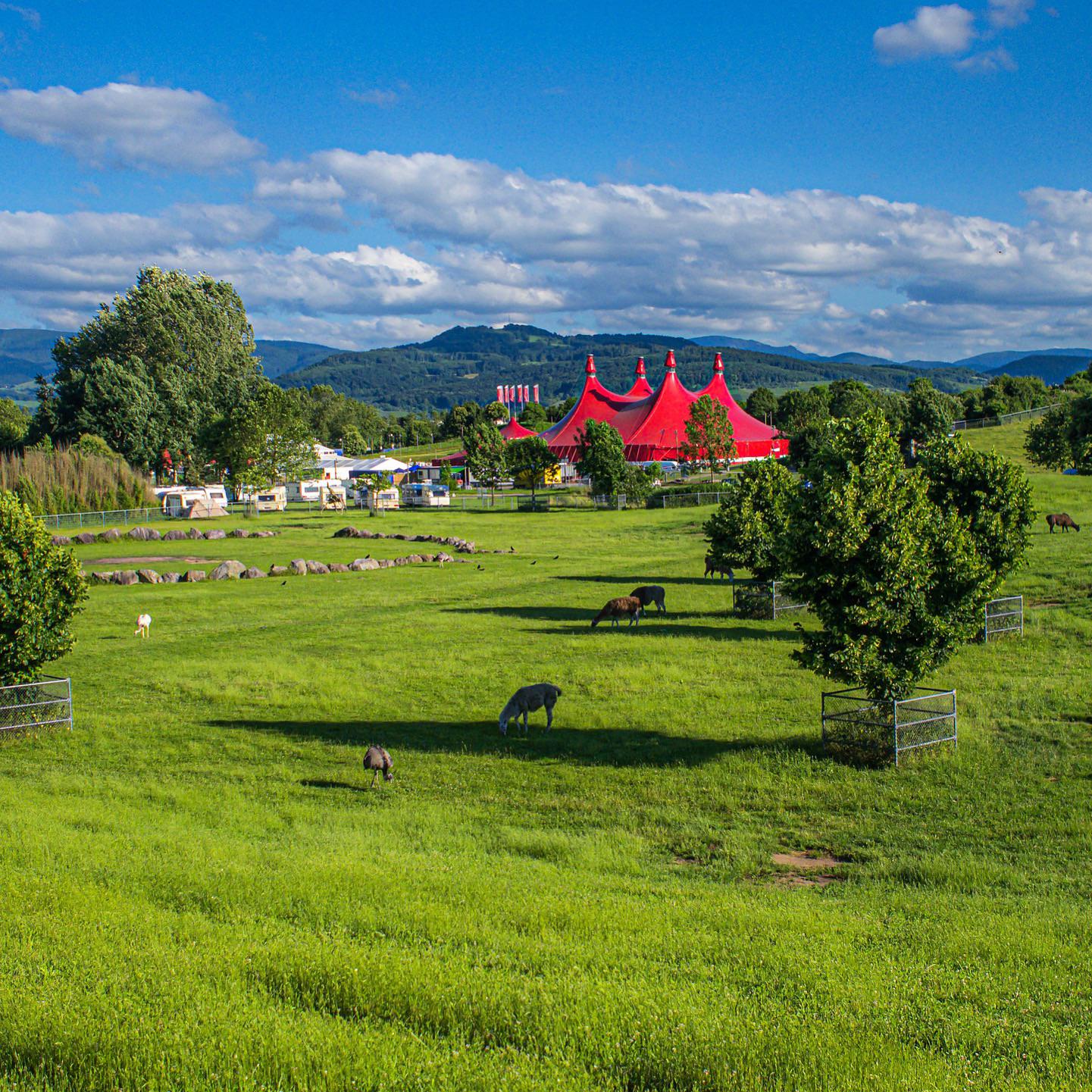 ITAP of a festival in my hometown | Scrolller