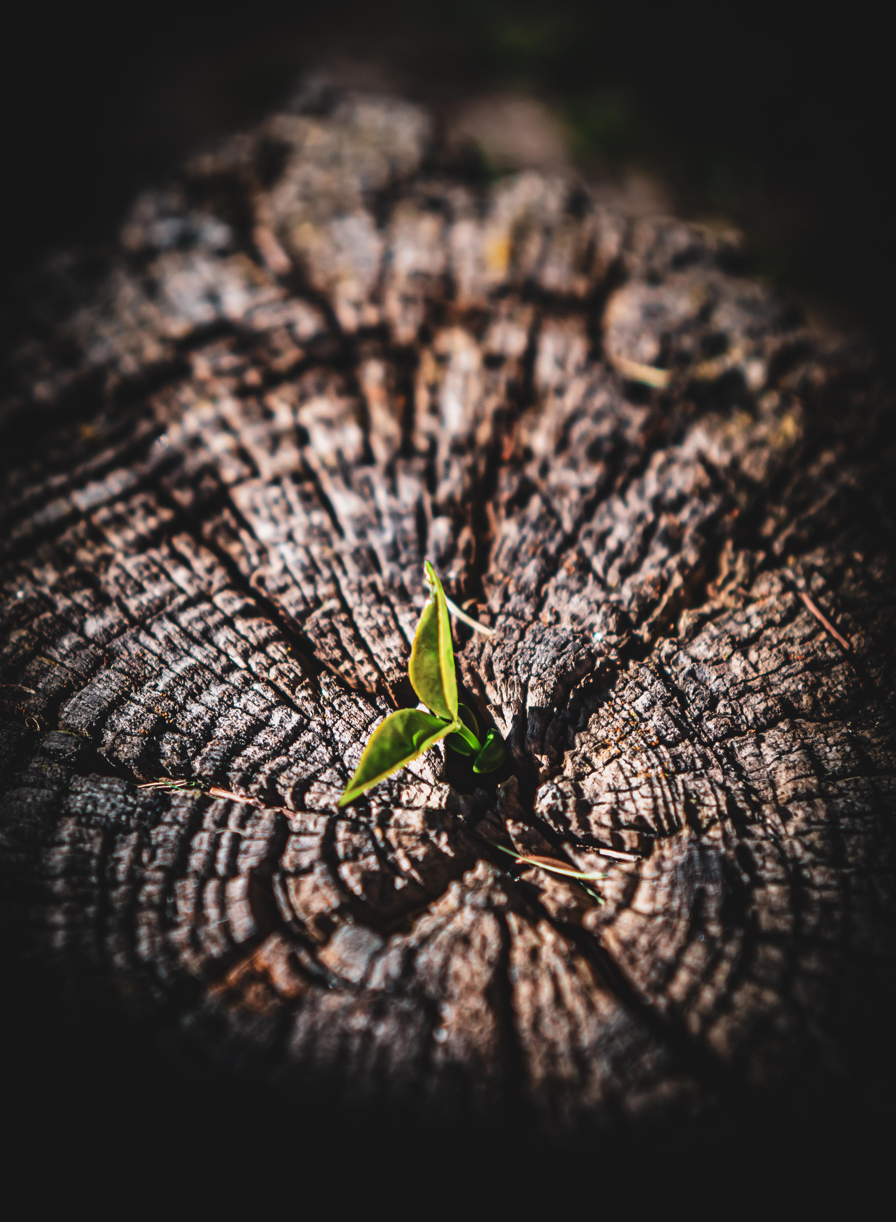 ITAP of a new beginning | Scrolller