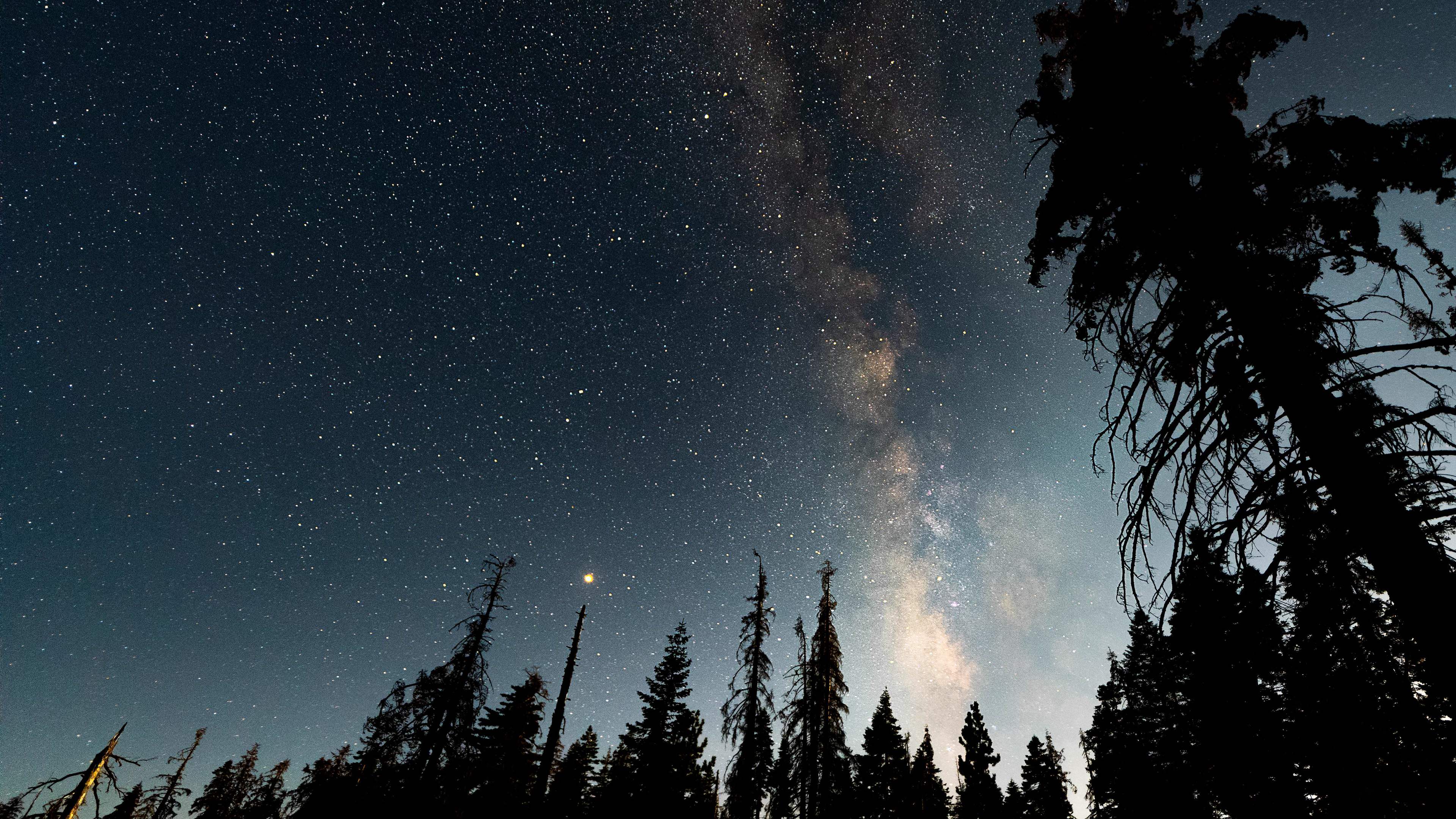 ITAP of the Milkyway while dealing with a quarter moon, while in Sequioa NP [3840x2160] | Scrolller