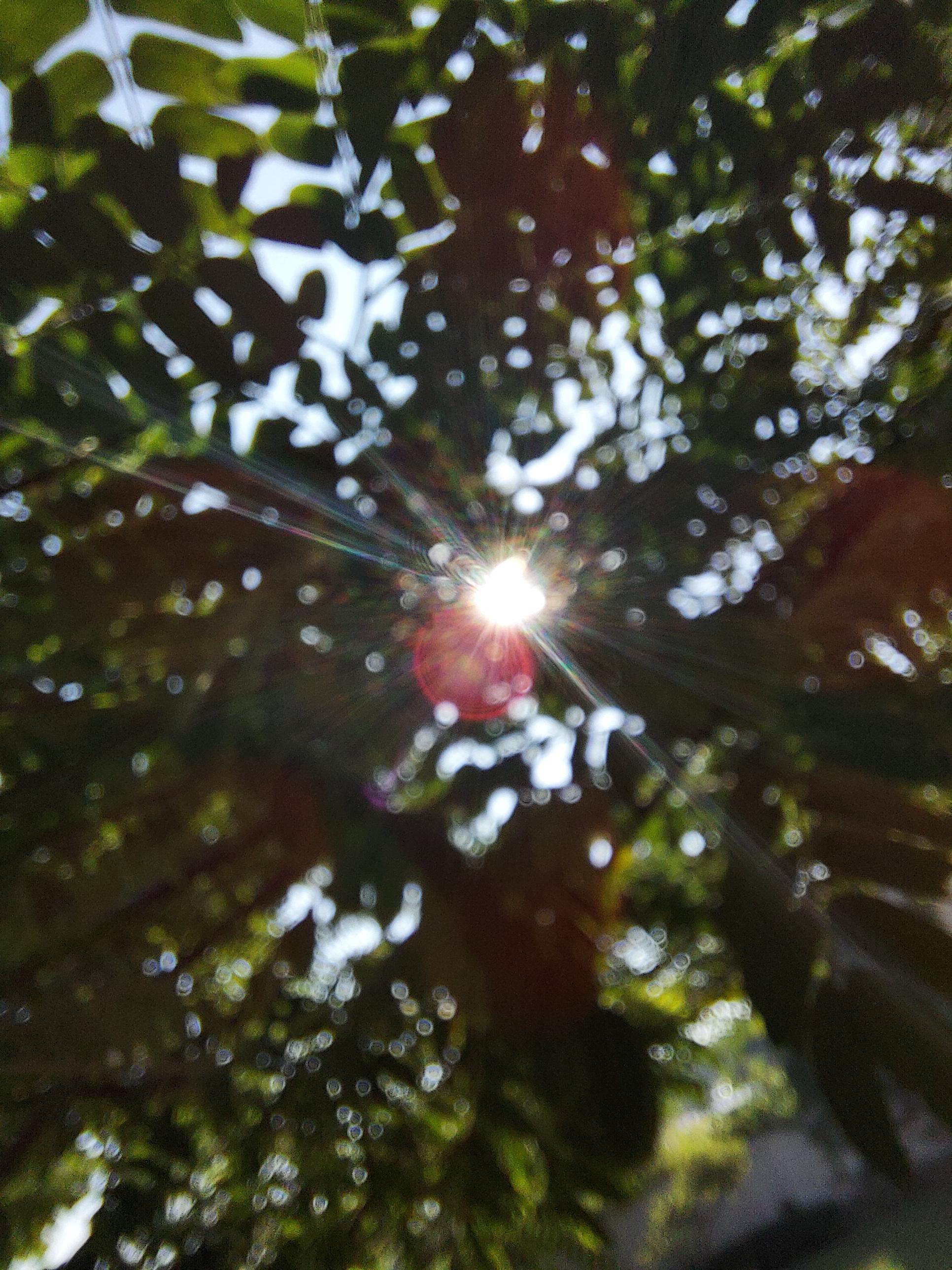 ITAP of the sun hitting the lens | Scrolller