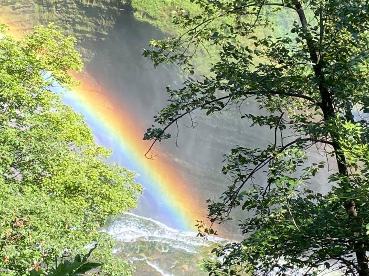 ITAP Rainbow in the woods | Scrolller