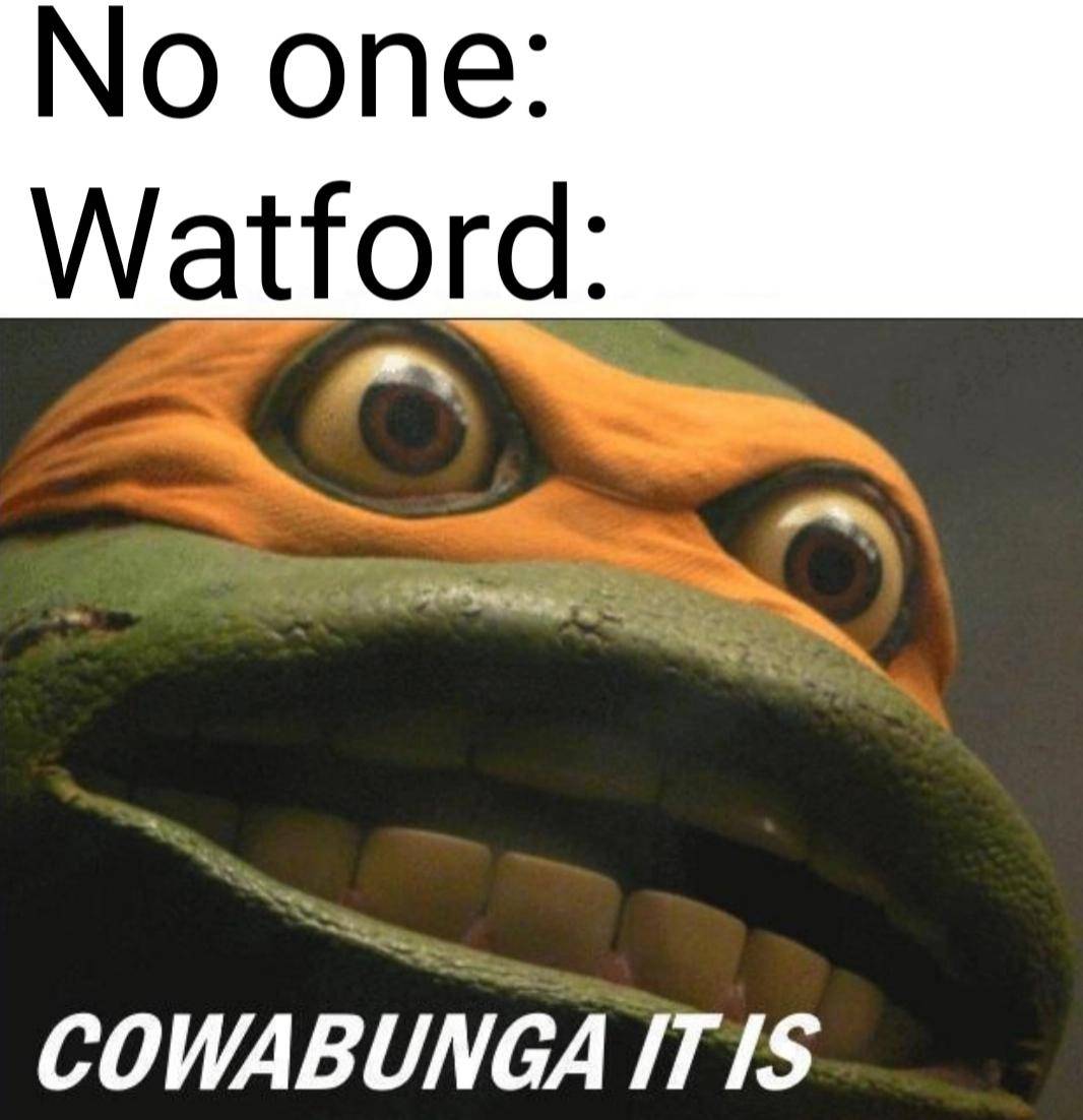 ITS A CHRISTMAS MIRACLE | Scrolller