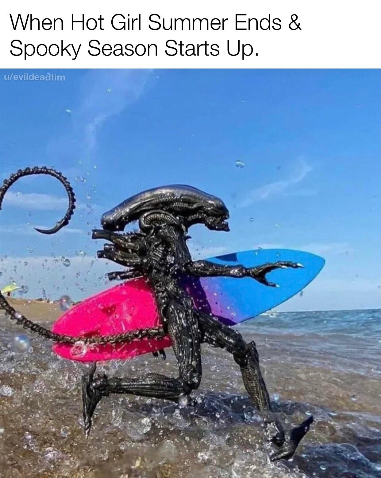 It's almost spooky time. | Scrolller