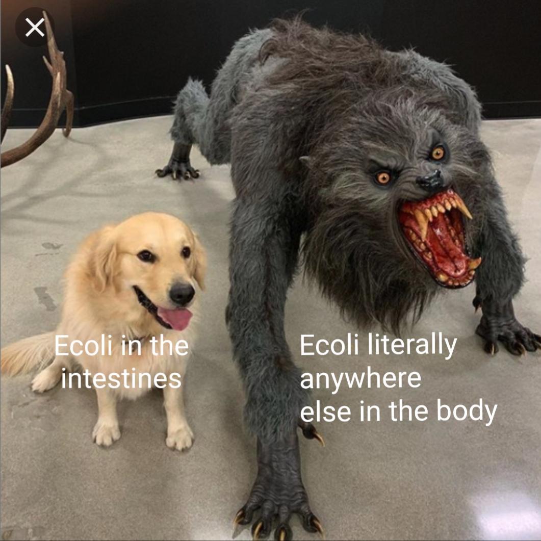 It's amazing the difference | Scrolller