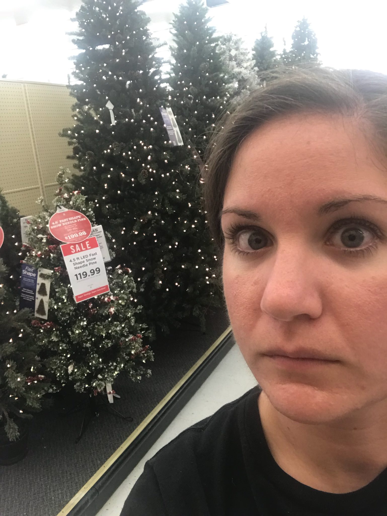 It's beginning... | Scrolller