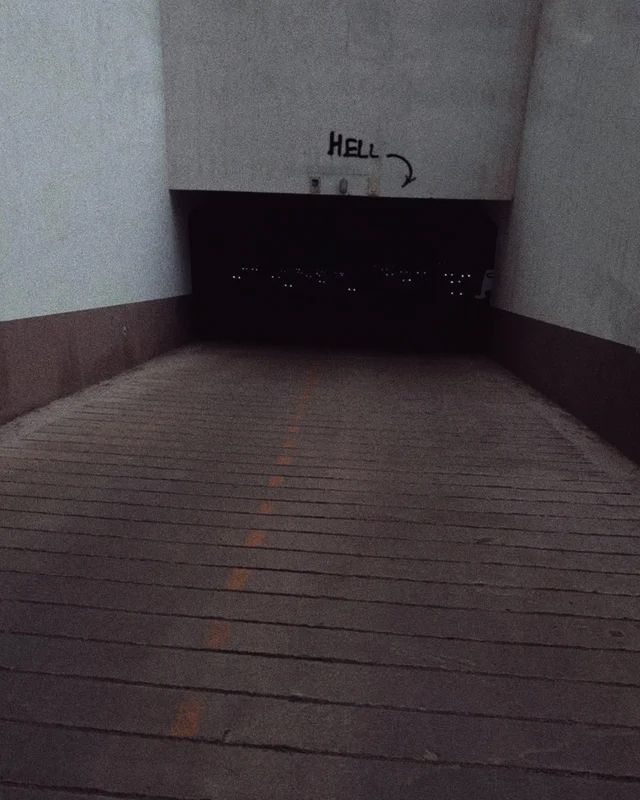 it's everywhere | Scrolller