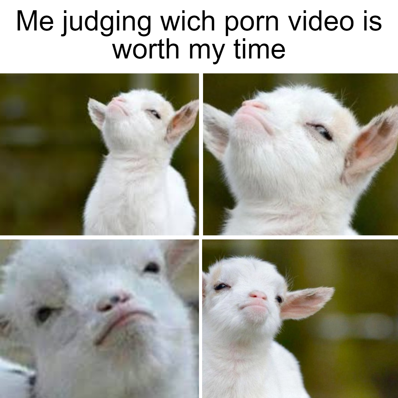 It's important | Scrolller