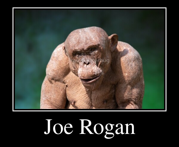 Its Joe Rogan | Scrolller