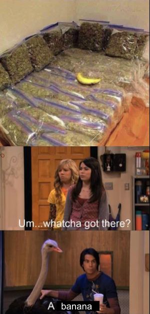 Its just a banana... | Scrolller