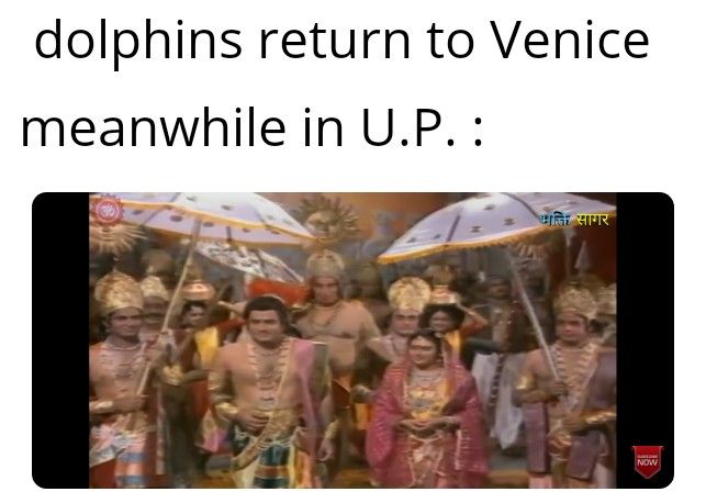 It's rewind time | Scrolller