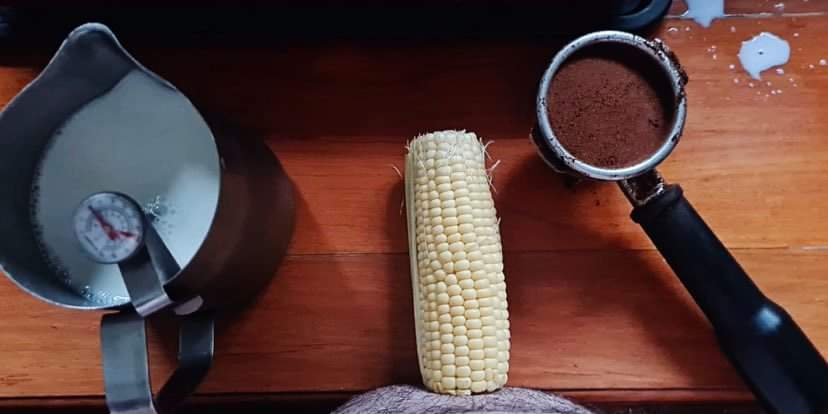 Its time to show the Cornstalk 🌽🌽 Come and have a coffee with Corny! | Scrolller