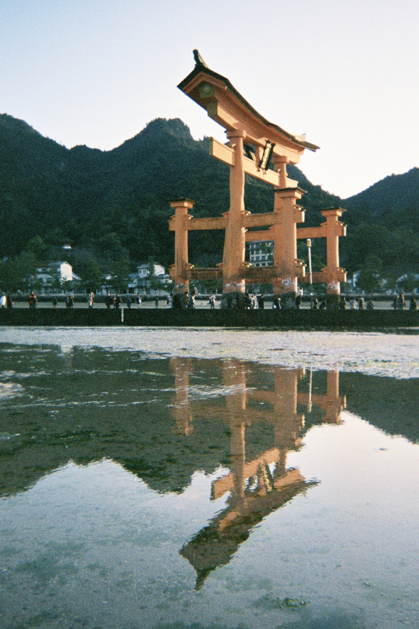 itsukushima {fuji 400 disposable} | Scrolller