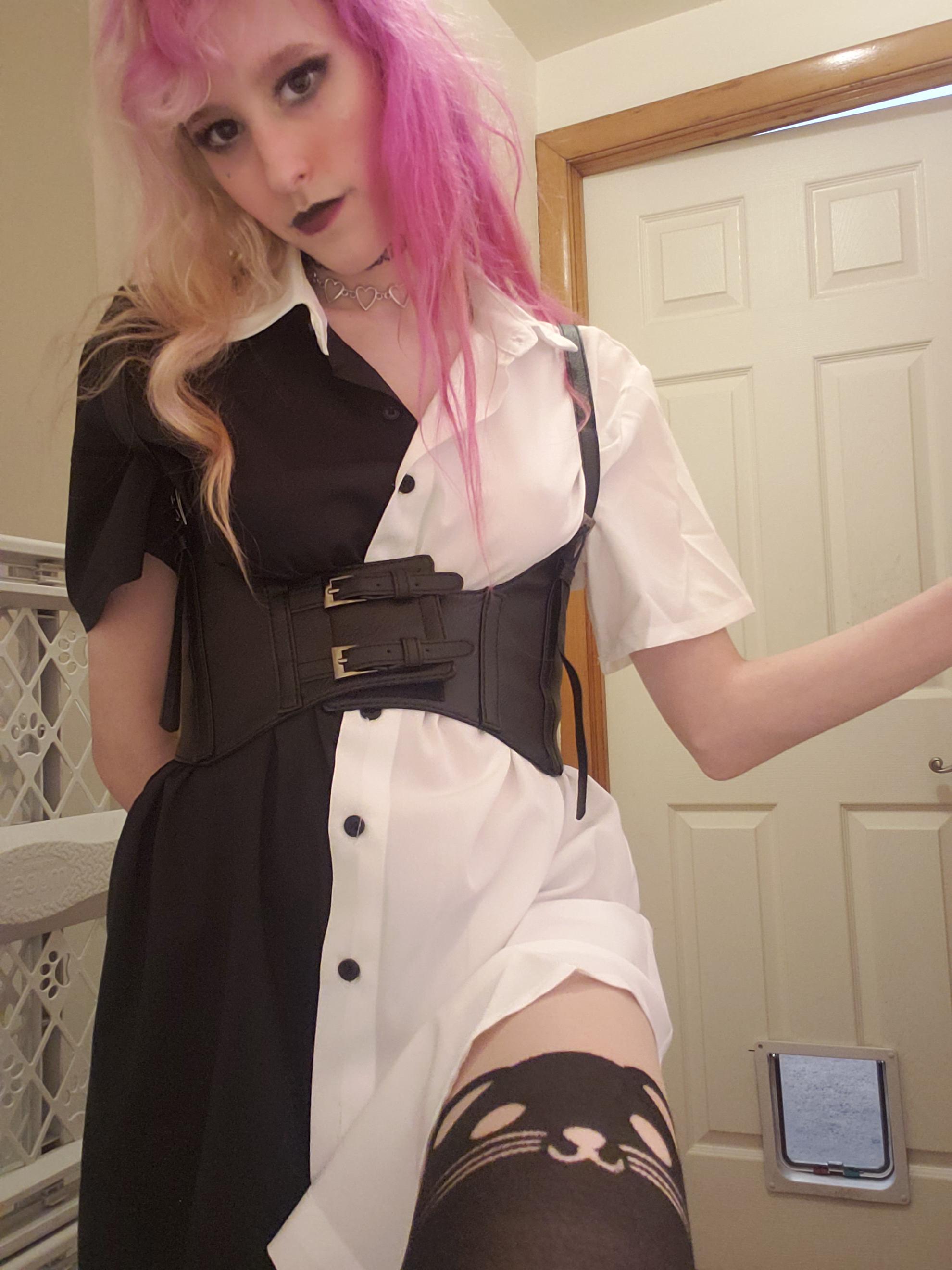 Itty bitty Kitty Committee | Scrolller